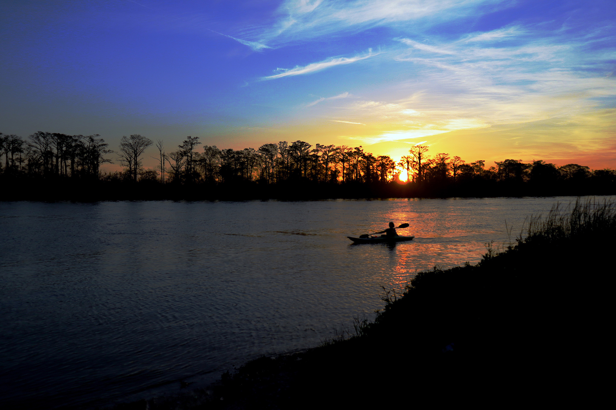 Pearl River – America's Most Endangered Rivers® of 2025