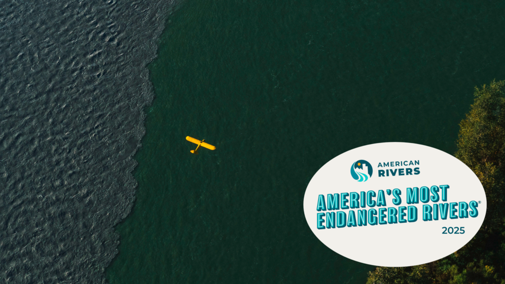 America's Most Endangered Rivers® of 2025 – Ten rivers, ten solutions ...